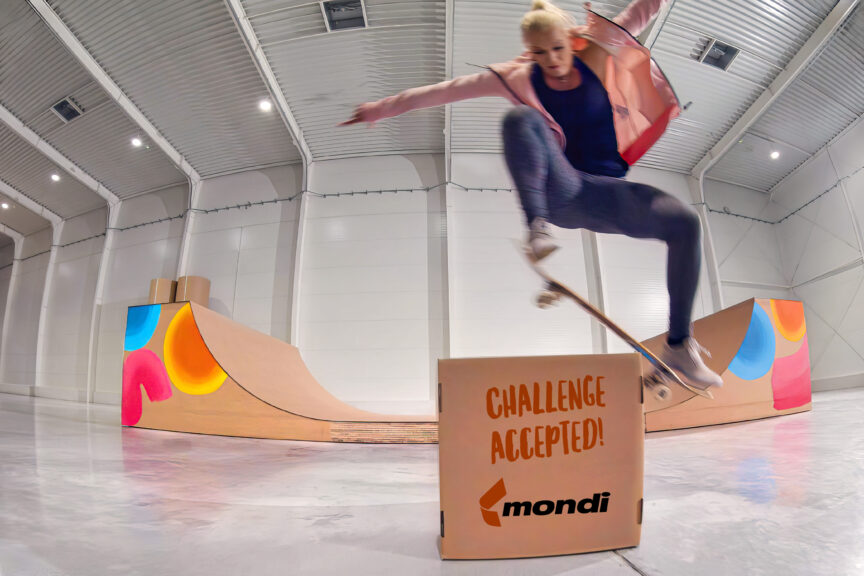 Cardboard Mini Ramp ‣ BackSide Skate Mag COM